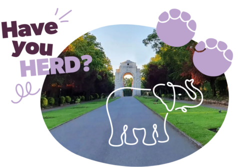 Home - Stomp Round Leicester